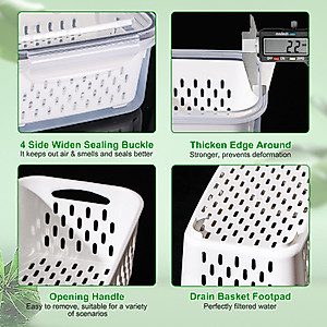 KETNET 5 Size Fruit Vegetable Storage Containers for Fridge with Colander and Lid Refrigerator Storage Containers Bins Organizer for Fruit Food Produce, Lettuce Keeper Keep Fruit Fresh Longer