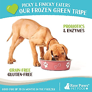 Raw Paws Signature Pet Food for Dogs & Cats - Green Lamb Tripe, 1-lb Rolls (20 Pack) - Fresh Pet Food Made in USA - Natural Dog Food Rolls - Raw Frozen Dog Food – Green Lamb Tripe for Dogs & Cats