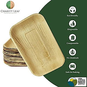 Charity Leaf Disposable Palm Leaf 11" x 7" Trays (25 Pieces) Bamboo Like Serving Platters, Disposable Boards, Eco-Friendly Dinnerware for Weddings, Catering, Events