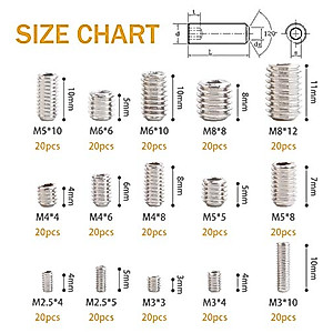 VIGRUE 300Pcs Set Screw Assorted M2.5/M3/M4/M5/M6/M8 Hex Allen Head Socket Grub Screw Assortment Kit with Internal Hex Drive, 304 Stainless Steel (Metric)