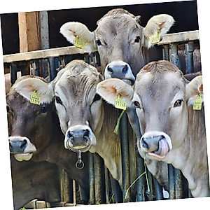 Yardwe 3pcs Spring Loaded Bull Nose Ring Stainless Steel Nose Ring Cattle Pliers Ring Farm Animal Pulling Tool Cow Nose Piercing Traction Nose Rings Cattle Traction Ring Livestock Supply