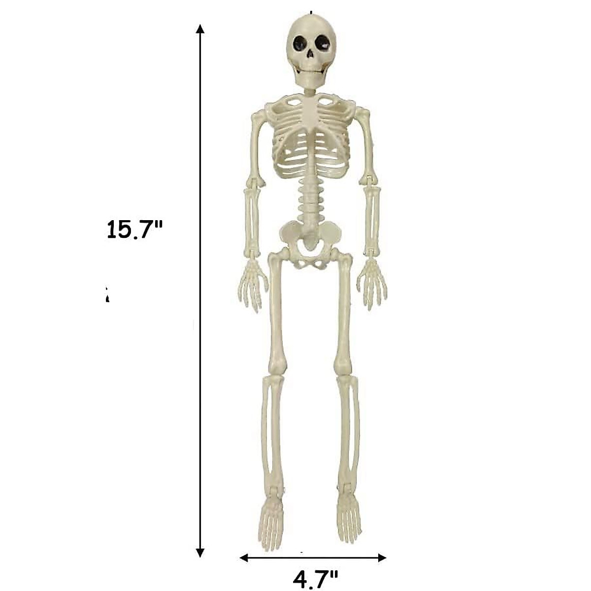 Halloween Skeletons, Halloween Decorations Skull, 16" Full Body Realistic Faux Human Skeleton, Halloween Decor for Haunted House Props