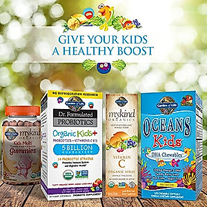 Garden of Life mykind Organics Kids Gummy Vitamins - Fruit - Certified Organic, Non-GMO & Vegan Complete Children's Multi - B12, C & D3 - Gluten, Soy & Dairy Free, 120 Real Fruit Chew Gummies