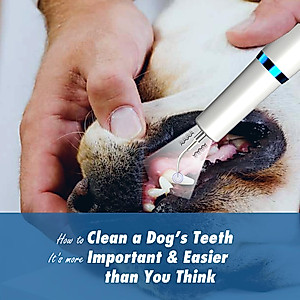 Dog Teeth Cleaning Kit, Plaque Remover for Teeth, Plaque and Tartar Remover, Rechargeable Ultrasonic Dental Scaler Tools with LED for Dog and Cat (White)