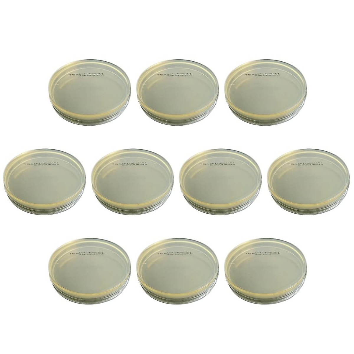 30 Pcs Determine Equipment Agar Medium Agar Plates