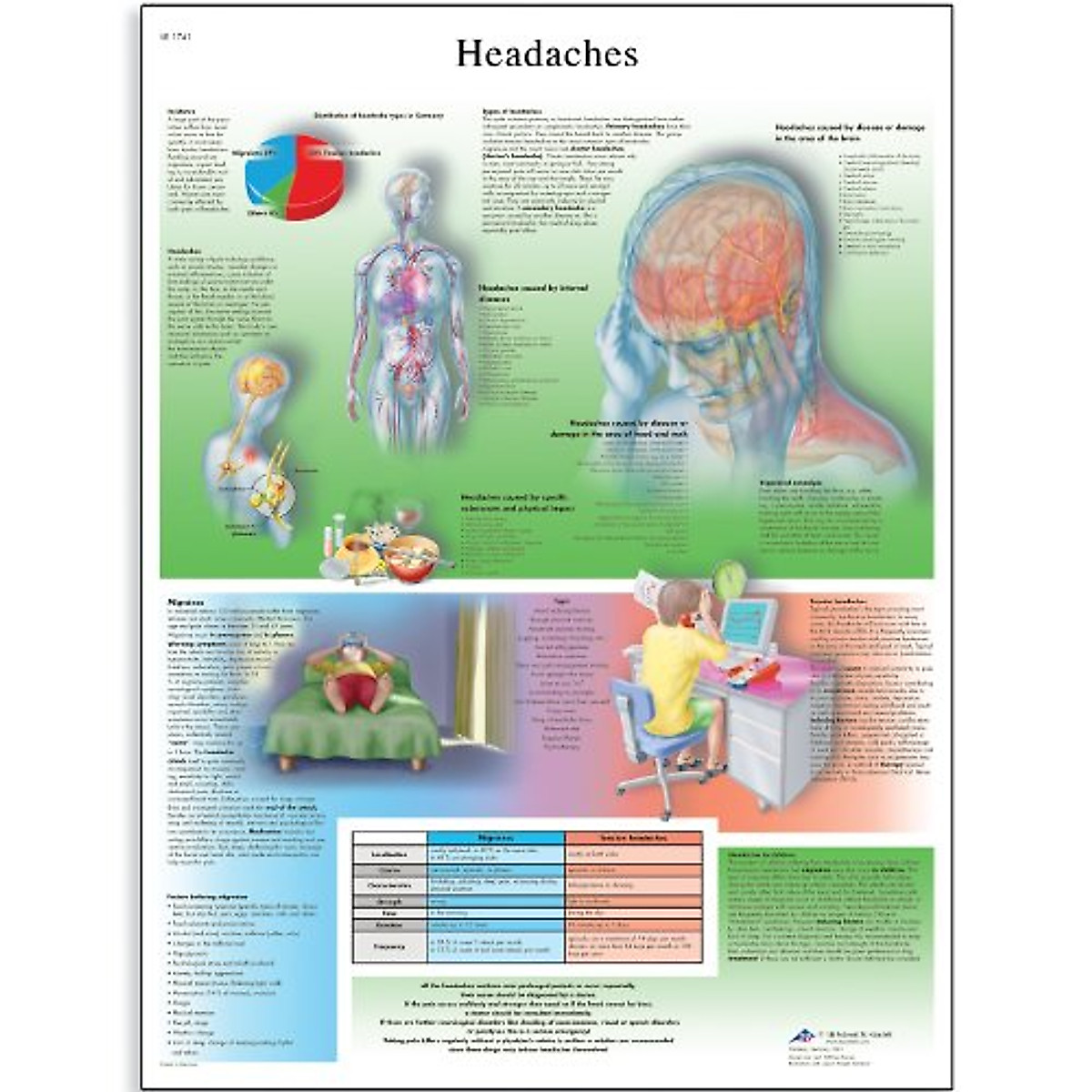 3B Scientific VR1714L Glossy UV Resistant Laminated Paper Headaches Anatomical Chart, Poster Size 20" Width x 26" Height,Yellow