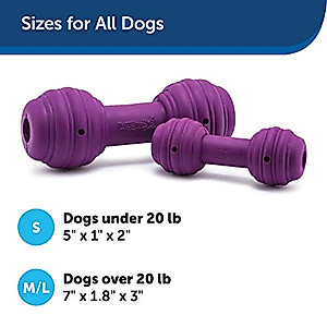 PetSafe Busy Buddy Chuckle Sound Dog Chew Toy - Treat Dispenser, BB-CHK, Purple,Medium/Large