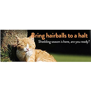 ProSense Pro-Sense Sugar Free Cat Hairball Solutions, Salmon Flavor, 2.5-Ounce