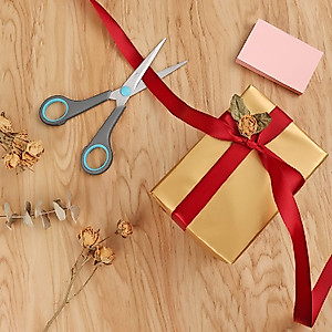 Asdirne 6.4" Scissors, Stainless Steel Blades, Soft Grip Handle, Suitable for Households,Offices and Schools, All Purpose, Blue/Grey