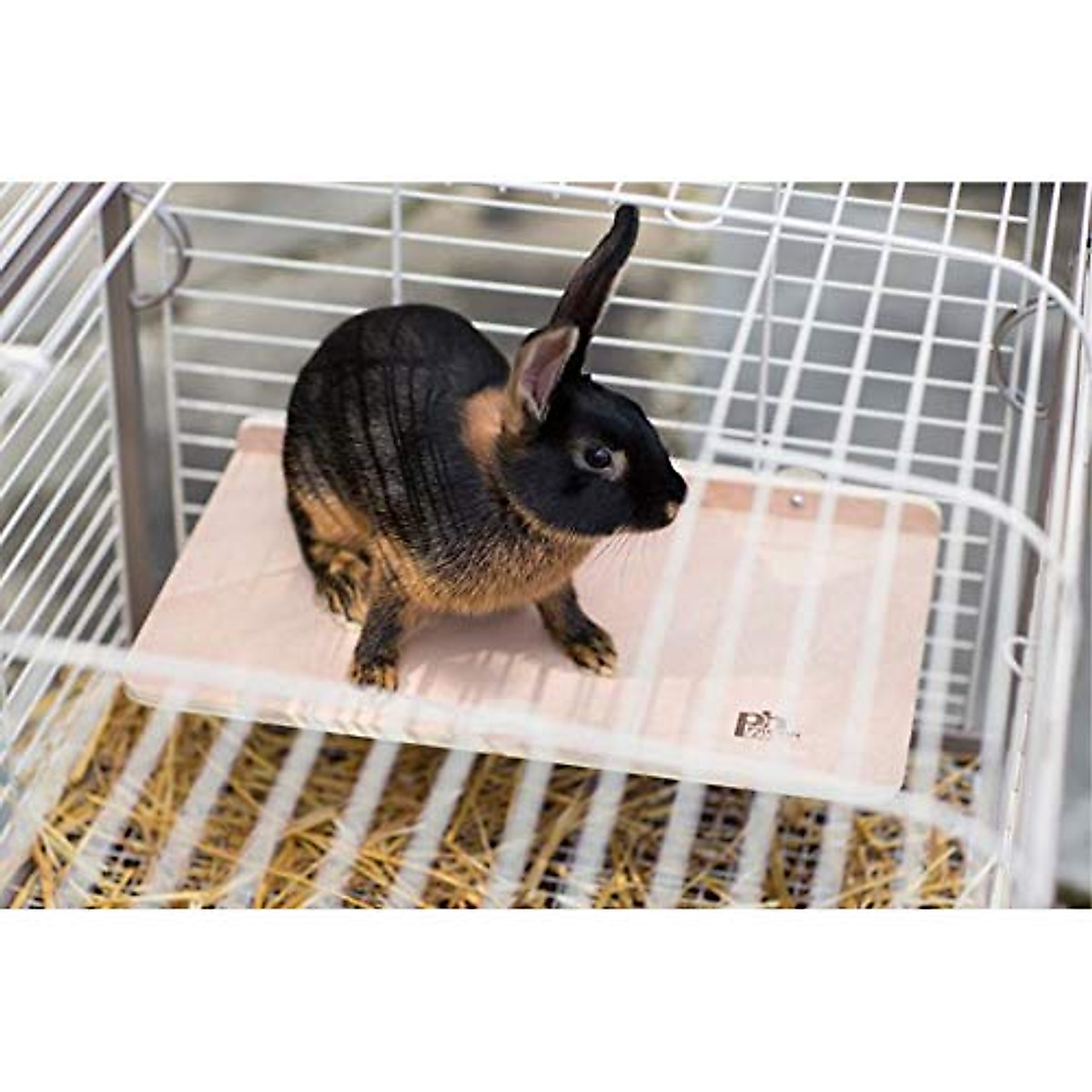 Extra-Large Rectangular Platform