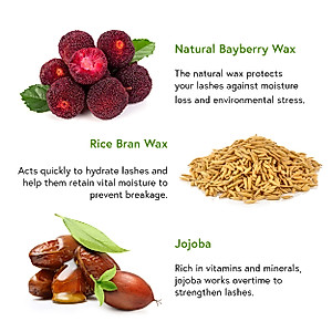 Honeybee Gardens Bellissima Volumizing Mascara In Black Lace, Lightweight And Bold, Non-Smudging, Vegan, Gluten-Free, Cruelty-Free, Net Wt. 0.13 oz.