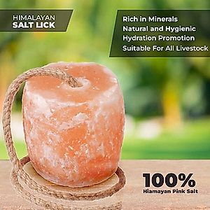 Himalayan Salt Lick 6 LbsPack of 4 | Himalayan Licking Salt Block for Animals with Minerals | 100% Himalayan Pink Licking Salt Licks for Cows, Goats, Deer, Cattles & Horses on Rope