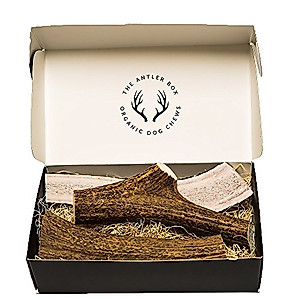 The Antler Box-Premium Elk Antler Dog Chews (1 lb Bulk Pack) (Whole/Split Mixed, Large)