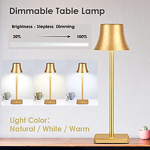 JALVDE Battery Powered Table Lamp, Rechargeable Cordless LED Desk Lamp Minimalist 5000mAh Battery Operated Lamp (2X Gold)