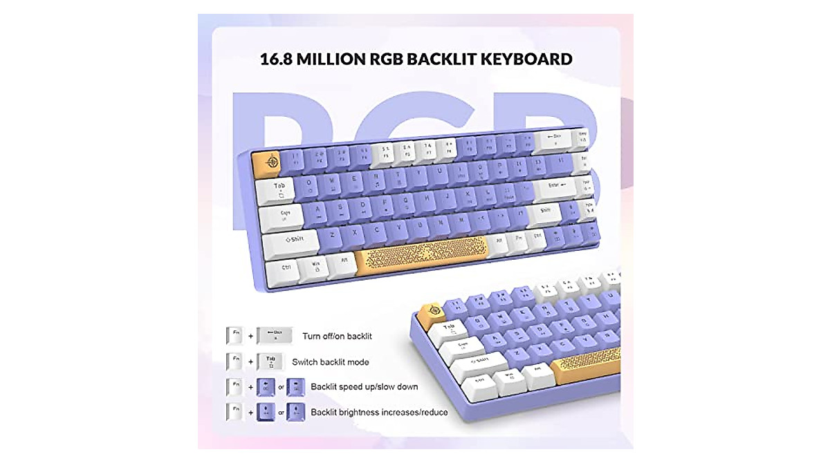 ZIYOU LANG RK-T8 Wired 65% Mechanical Gaming Keyboard with RGB LED ...