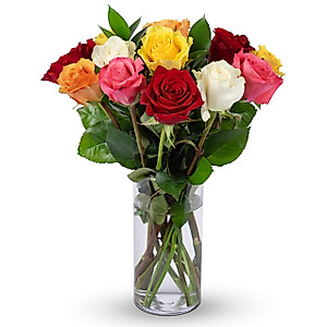 BENCHMARK BOUQUETS - 12 Stem Rainbow Roses (Glass Vase Included), Next-Day Delivery, Gift Fresh Flowers for Birthday, Anniversary, Get Well, Sympathy, Graduation, Congratulations, Thank You