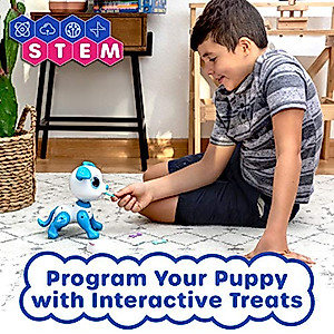 Robo Pets Robot Dog Toy for Girls and Boys - Remote Control Robot Toy Puppy with LEDs, Sound FX, Interactive Hand Motion Gestures, STEM Toy Program Treats, Dancing and Walking RC Robot for Kids (Blue)