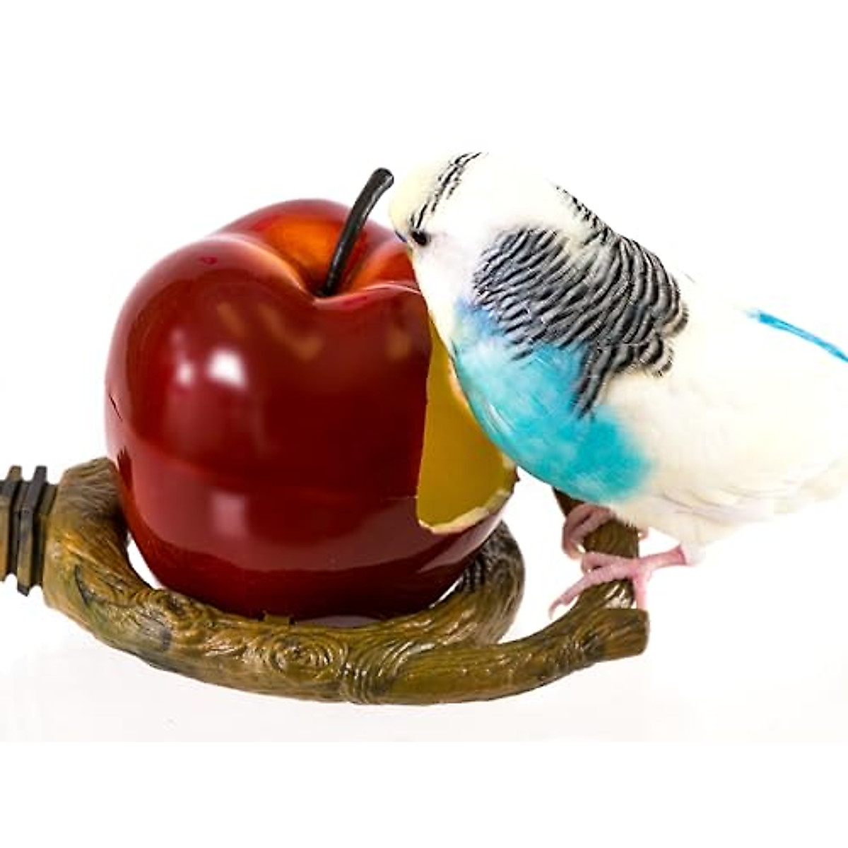 Penn-Plax Garden Cups – for Seed, Water, and Treats – Great for Small Birds (Parakeets/Budgies, Parrotlets, Cockatiels, Canaries, & Finches) – Apple (BA450)