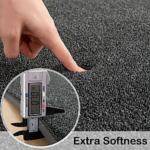 Rtizon Area Rug for Bedroom, 4x6 Feet Black and White Shag Rugs with Memory Foam for Living Room Dorm, Machine Washable Carpet for Girls Kids Nursery Play Room