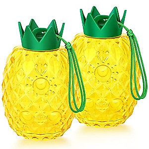 Wasp Trap 2 Pack, Trap Yellow Jacket, Hornets Naturally