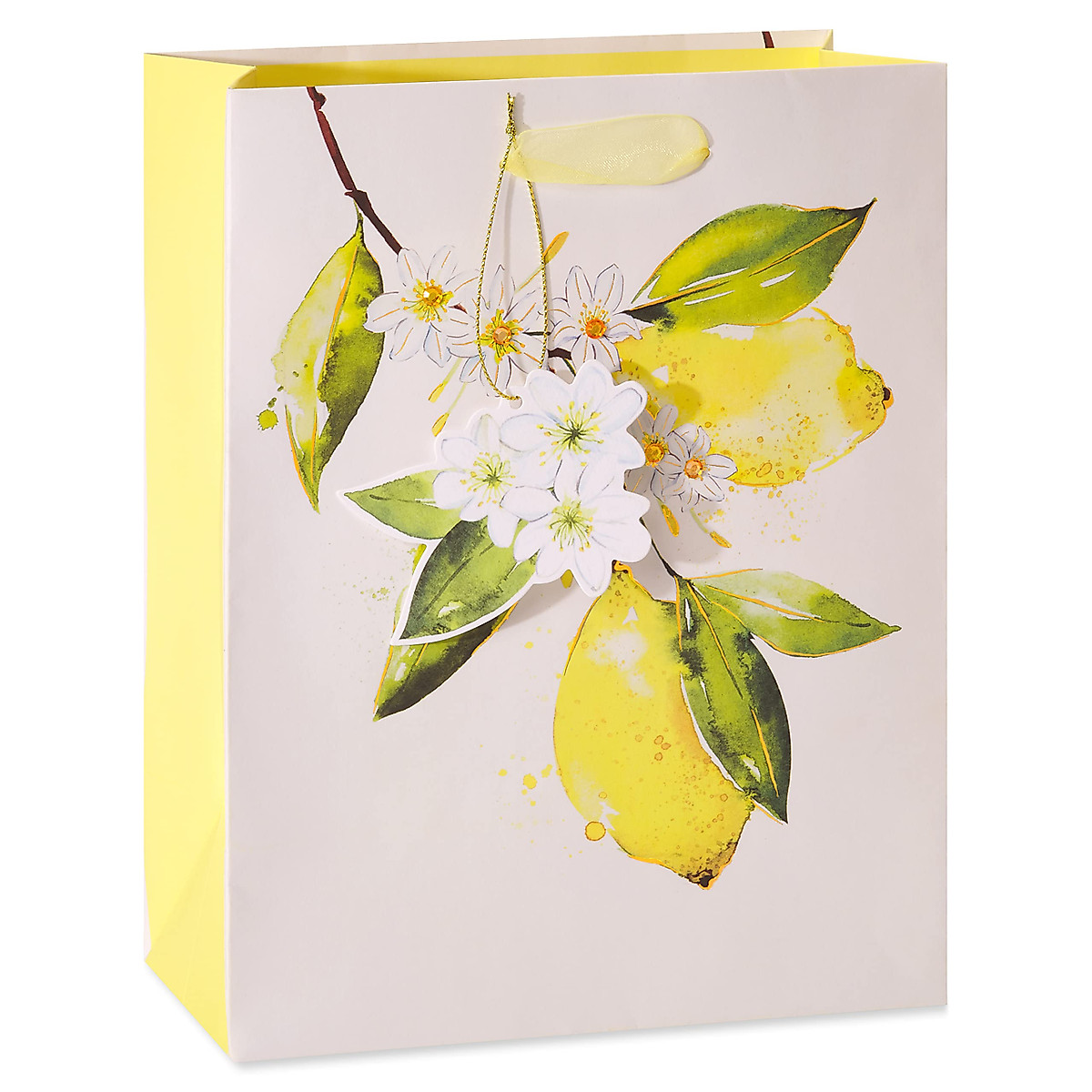 Papyrus Gift Bags with Tissue Paper (Citrus) for Birthdays, Weddings, Bridal Showers, Baby Showers and All Occasions (2 Bags, 1 Large 13", 1 Medium 9", 8-Sheets)