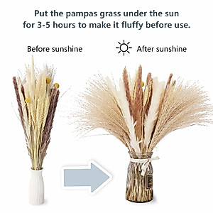 YUFFLYOW 65 pcs Natural Dried Pampas Grass,17In Pampas Grass Decor Tall Fluffy for Flower Arrangements Boho Home Decor,Pampas Grass Plants for Home Garden Wedding Party Decor, PG24