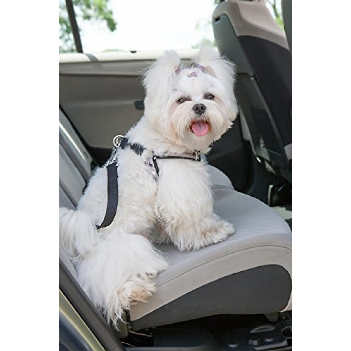 PAXCOO 60Pcs Swivel Snap Hooks and D Rings for Lanyard and Sewing Projects (1” Inside Width)