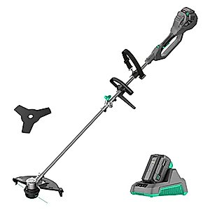 Litheli 40V Cordless String Trimmer Brushless Motor 14", Battery Powered 2 IN 1 Grass Trimmer and Brush Cutter, 2.0Ah Battery & Charger, Dual Line Bump Feed for Lawn Trimming, Brush Cutting, Lawn Care
