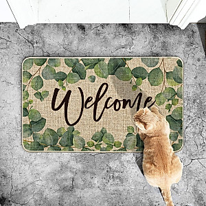 Artoid Mode Eucalyptus Summer Welcome Doormat, Seasonal Spring Summer Low-Profile Yard Floor Switch Mat for Indoor Outdoor 17 x 29 Inch
