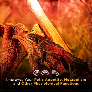 Bluex Bulbs 4 Pack A19 60W Red Night Reptile Heat Bulb - Night Basking Light E26 - Terrarium Heat Source for Lizards Turtles Snakes & Bearded Dragons Promotes Appetite Metabolism & Natural Behavior