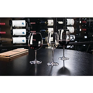 Carlisle FoodService Products Alibi Wine Glass Clear Glass for Restaurants, Catering, Kitchens, Plastic, 20 Ounces, Clear