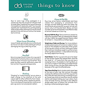 Unique Loom Solid Shag Collection Area Rug (9' x 12' Rectangle, Cloud Gray)