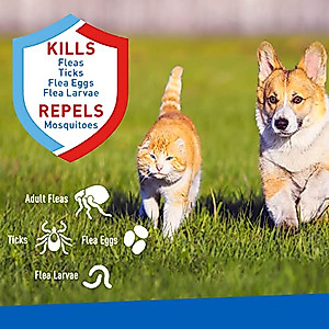 Adams Plus Flea & Tick Spray For Dogs and Cats | Kills Adult Fleas, Flea Eggs, Flea Larvae, Ticks, and Repels Mosquitoes For Up To 2 Weeks | Controls Flea Reinfestation For Up To 2 Months | 16 Oz