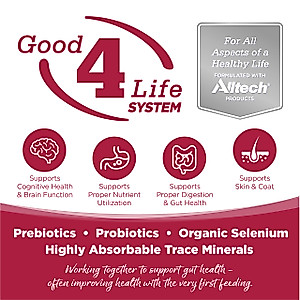 NutriSource Seafood Select Grain Free Dry Dog Food, Salmon and Menhaden Fish Meal, 26LB