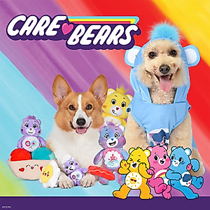 Care Bear for Pets Cheer Bear Dog Plush Squeaky Toy, 6' with Squeaker Inside and Crinkle Ears, Small, Collectible Dog Toys (FF19785)