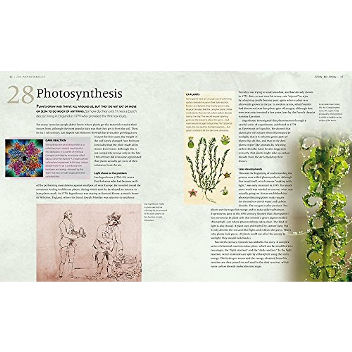 Biology: An Illustrated History of Life Science (100 Ponderables)