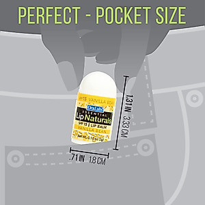 Lip Naturals® | 12-Count Assorted Mini Lip Balm with Sunscreen (SPF-15) & 1 Lip Balm Keychain | Made in USA | Lip Balm Pack with 3 Flavors: Tea Tree Mint, Vanilla Bean, & Bing Cherry (0.10oz/3g Each)