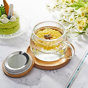 Uiifan Set of 2 Glass Tea Cup with Infuser and Lid 11.8 oz Clear Glass Mugs Thickened Glass Tea Infuser Cup with Removable Strainer for Steeping Blooming Tea Loose Leaf Tea Bag Family Daily