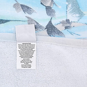 Jay Franco Frozen 2 Mythical Wonderland Kids Bath/Pool/Beach Hooded Towel, Cotton