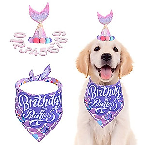 Cute Dog Birthday Party Supplies, Boy Girl Dog Birthday Bandana Scarf and Dog Birthday Hat with Number (Mermaid, Large)