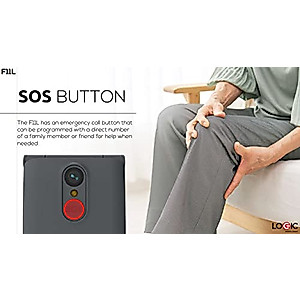 Flip Phone 4G LTE Volte Unlocked Worldwide (Only T-Mobile USA Market) Logic F11 4G Dual Nano Sim LTE Bluetooth SOS Radio FM (Black)