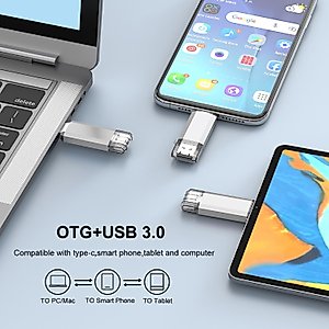 RAOYI 128GB USB C Flash Drive, 2 in 1 USB 3.0 Type C Dual OTG Metal Thumb Drive Jump Drive Memory Stick with Keychain Suitable for USB-C Smartphones, MacBook, Computers and Tablets (Silver)
