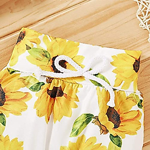 Baby Girl Clothes Newborn Infant Outfits Long Sleeve Floral Sweatshirt Hoodies Top Pants Headband Toddler Clothing Set 0-3 Months