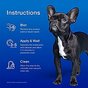 Shout for Pets Turbo Oxy Urine Remover | Carpet Cleaner and Pet Odor Eliminator in Fresh Scent, 32 Oz | Fast, Easy, and Effective for Pet Odors in Homes