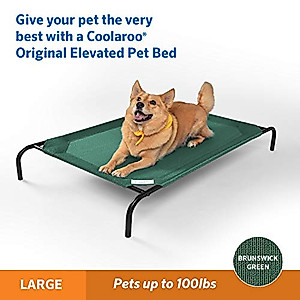 Coolaroo The Original Cooling Elevated Pet Bed, Brunswick Green