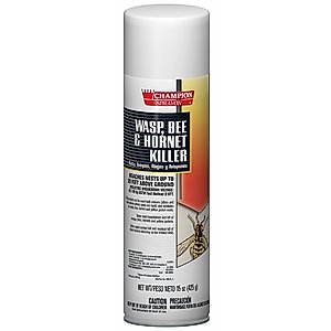 Champion 5108 Sprayon Wasp, Bee and Hornet Killer, 15-Ounce, 1-Pack