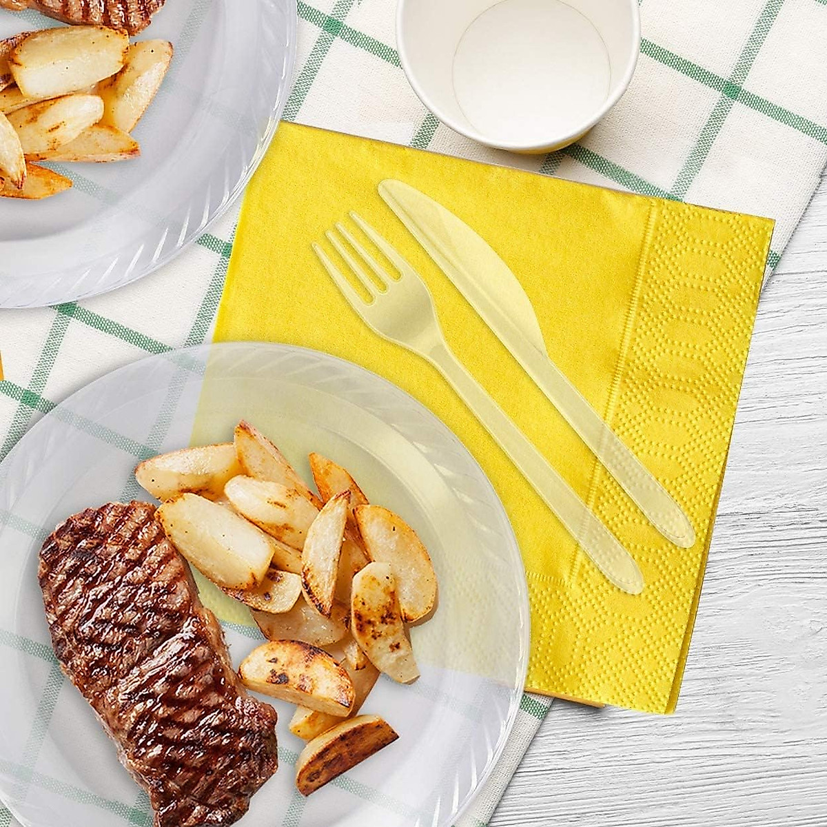 9 Inch Disposable Clear Plastic Plates In Bulk By Framo for Party and Dinner,And For Any Occasion, Microwaveable, BBQ, Travel, and Events (9 Inch 120 pack)