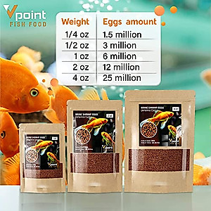 Vpoint Brine Shrimp Eggs – Artemia Cysts of 90% Hatch Rate – Aquatic Foods Baby & Fry Foods - Great Live Fish Food for Freshwater Fish, Saltwater Fish, Fry, etc. (0.25 oz)