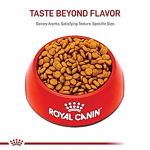 Royal Canin X-Small Adult 8+ Dry Dog Food, 2.5 lb bag