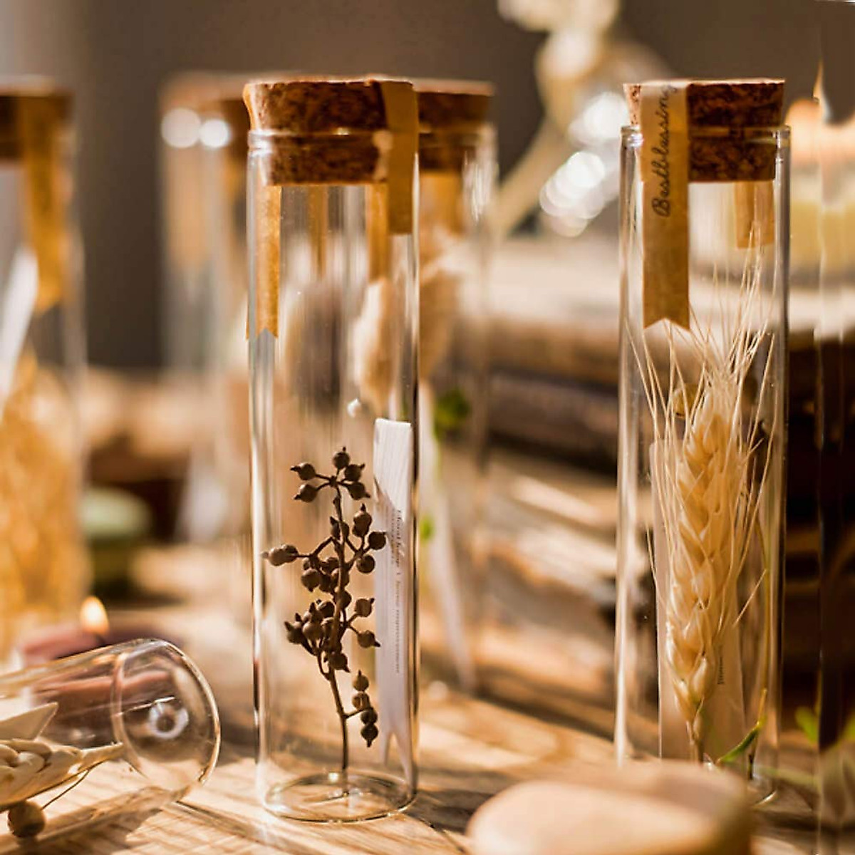 KINDPMA 20Pcs 18ml Clear Plastic Test Tubes 18x105mm with Cork Stoppers Tube Holder Candy Test Tubes for DIY Flowers Crafts Candy Bath Salts Storage Halloween Christmas Science Lab Wedding Party Favor